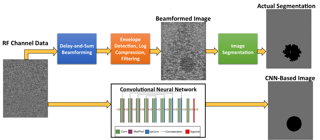 Research – Muyinatu Bell